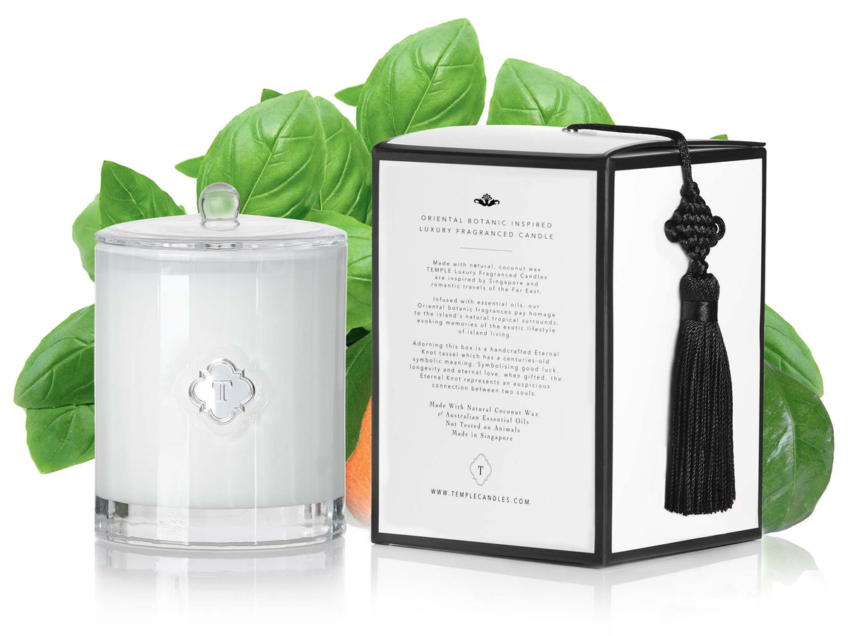 Lime Basil Candle – Temple Candles